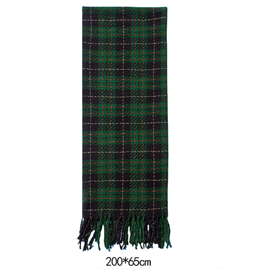 Tassel Detail Polyester Plaid Green Scarf | Rosewe.com - USD $19.98